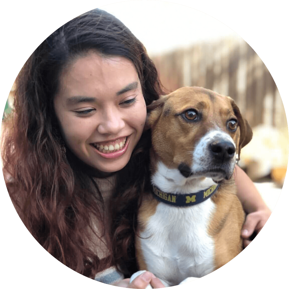 What Are the Different Types of Pie? 17 Types of Pie Explained